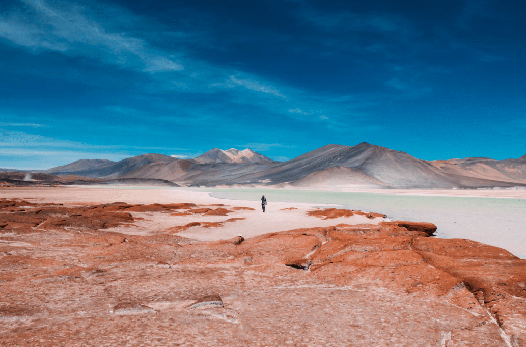 Majestic Chile – Nature’s Dazzling Action Star
