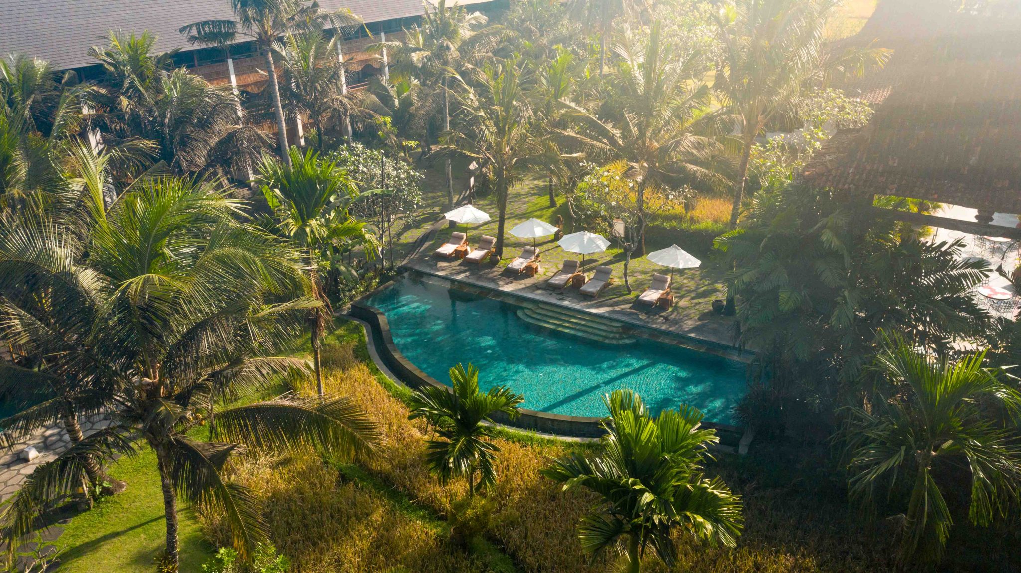 Bali: Which Area of Is Right For You?